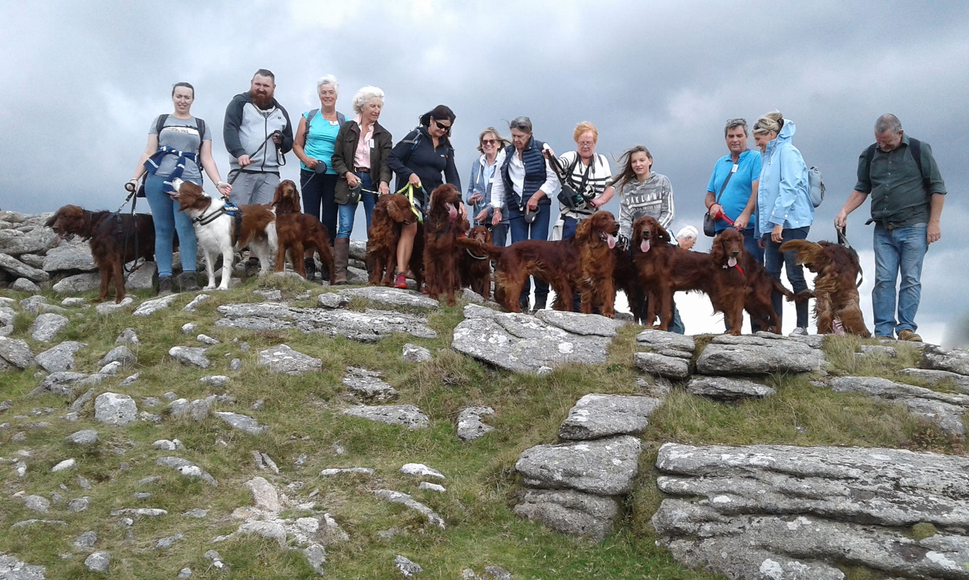Sponsored Walks 2020 | Irish Setter Rescue and Rehome